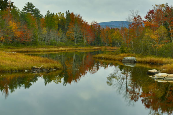 Travel Photo Gallery